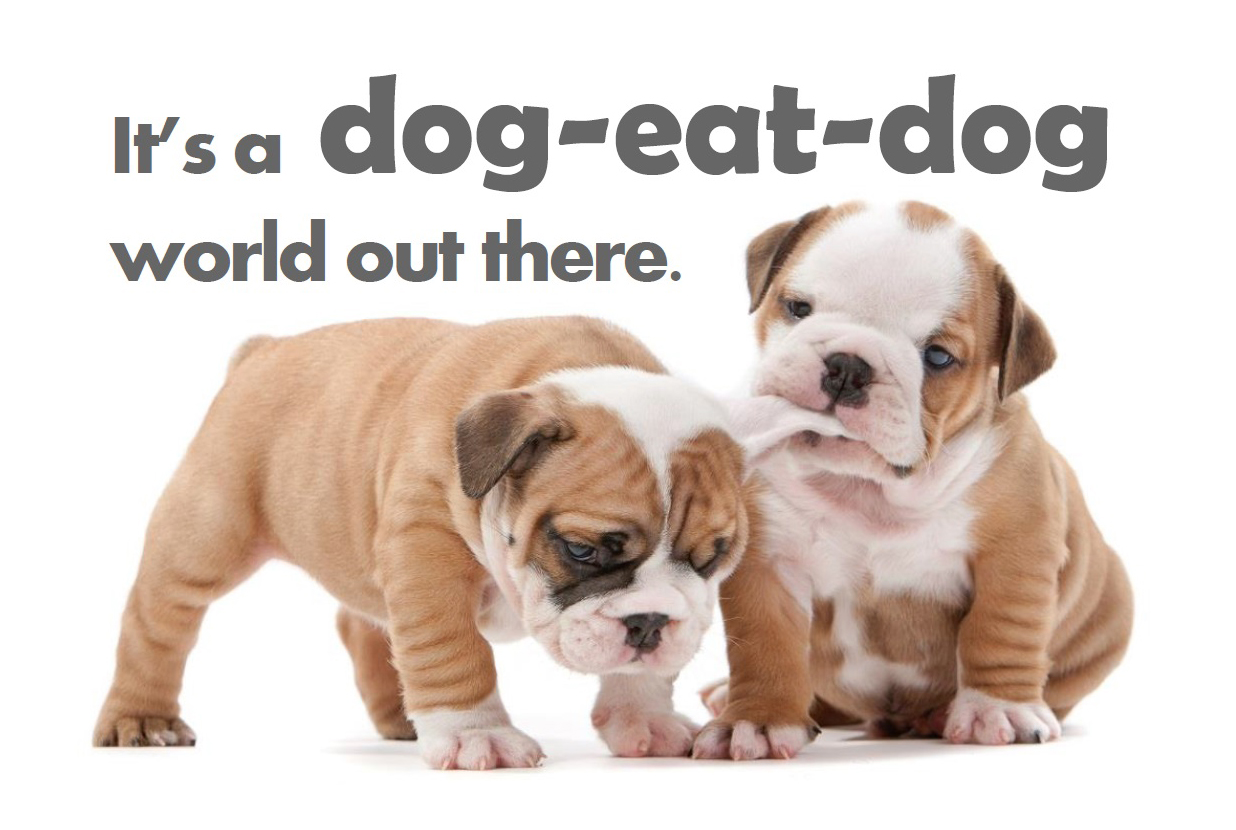 What Is A Dog Eat Dog World